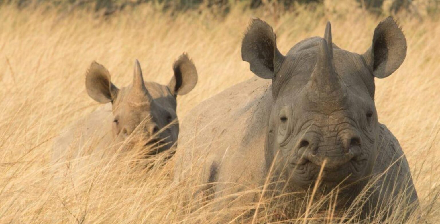 Gallery – The Bhejane Trust